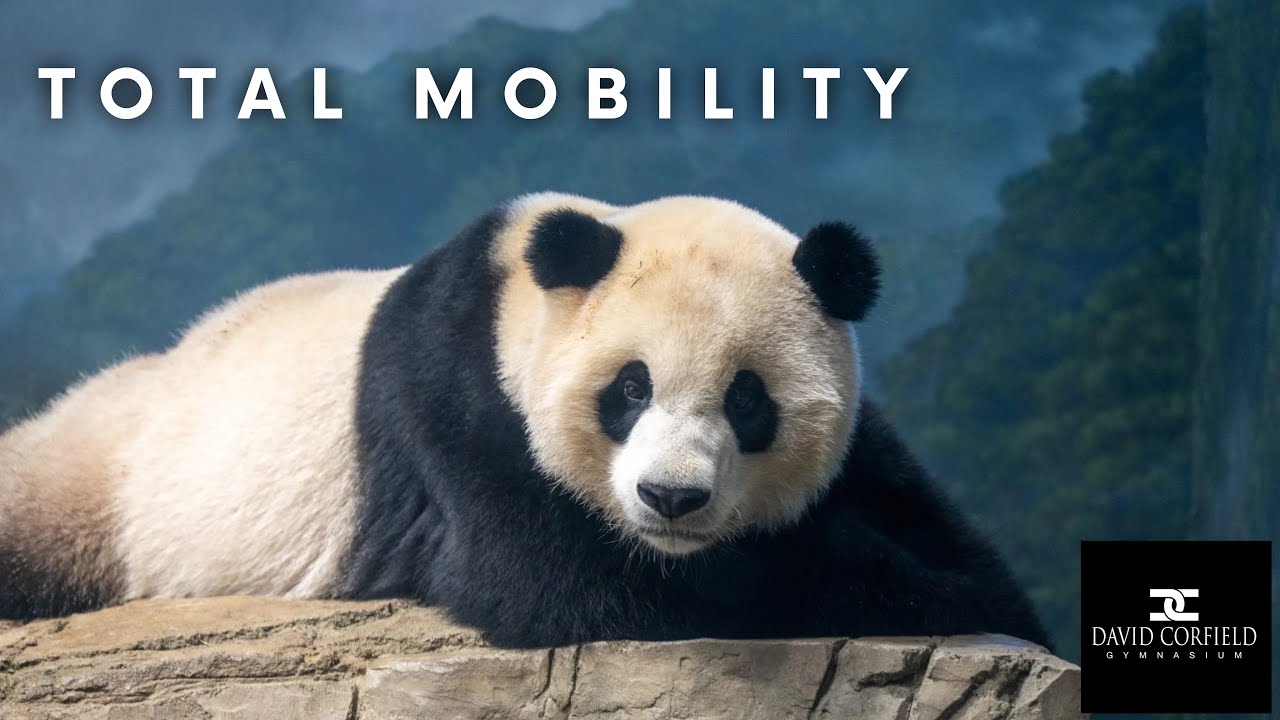 TOTAL MOBILITY DAY 4 - YouTube