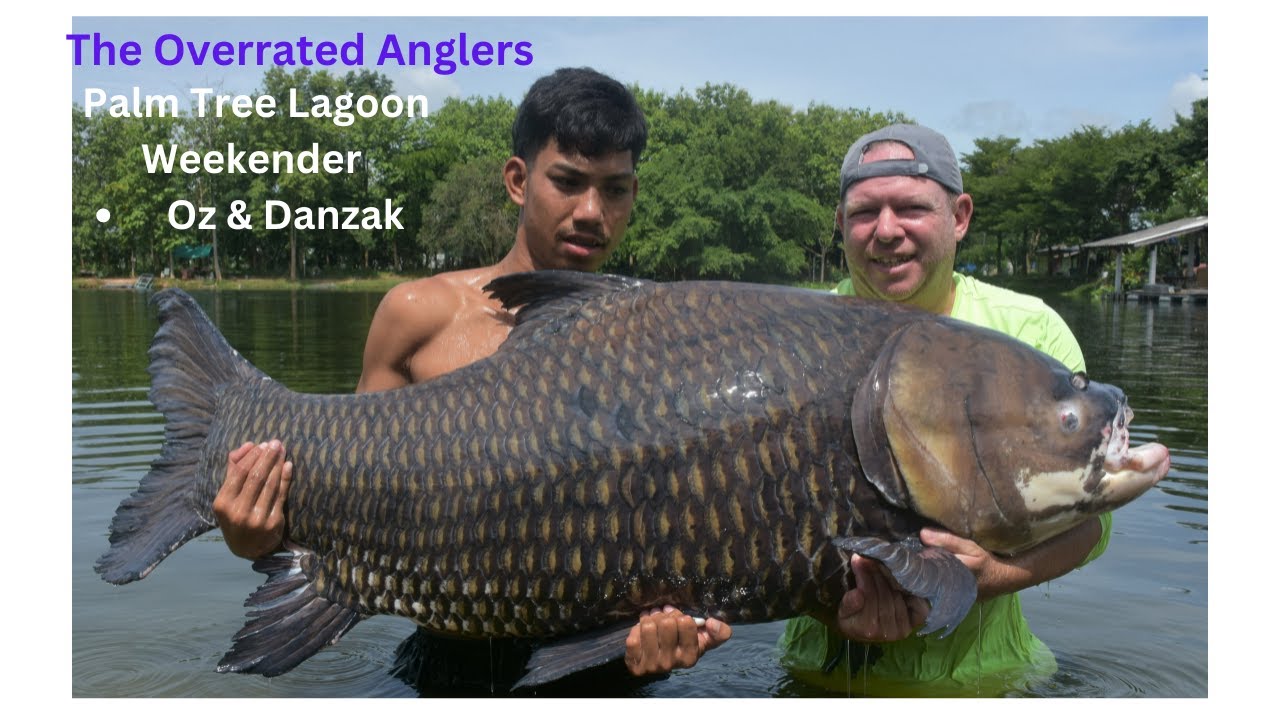 Fishing in Thailand - Palm Tree Lagoon - Oz & Danzak Weekender 16th ...