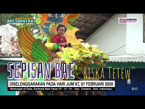 SEPISAN BAE | Voc. Riska Tetew | Singa Dangdut ADE SAPUTRA | LIVE DESA ...
