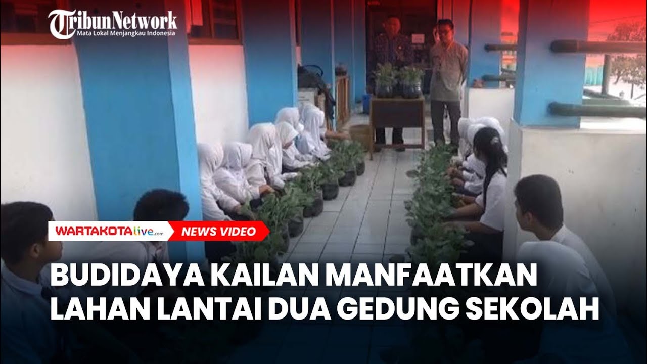 SMPN 209 Jakarta Sulap Lantai Dua Menjadi Tempat Penghijauan Budidaya ...