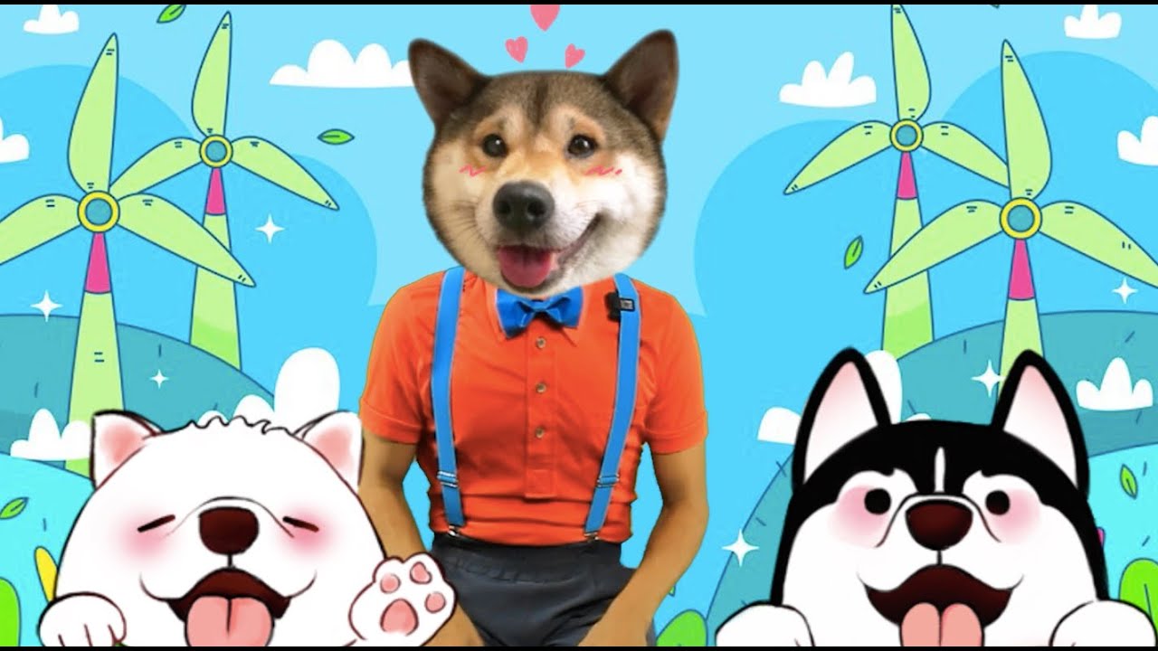 THE TEACHER K SHOW , I HAVE A PET SONG . ANIMALS , LET'S SING AND LEARN ...