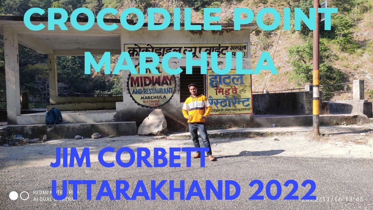 Crocodile in marchula Uttarakhand ll India ll @gajjuvlogsuttarakhandi ...