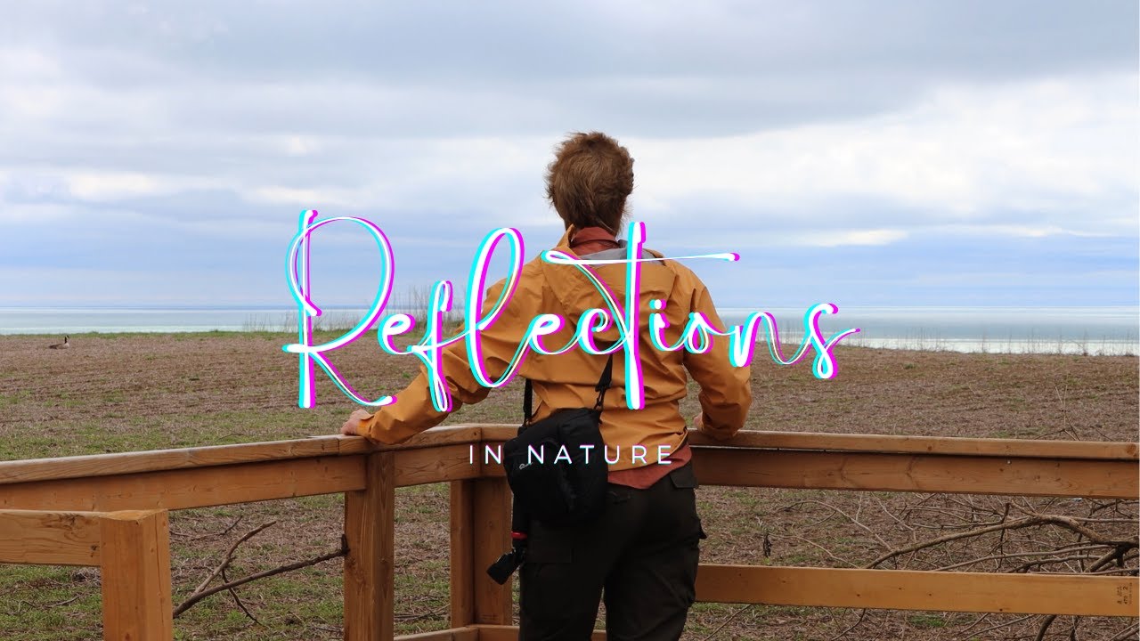 Reflections in Nature at Hawk Cliff, Ontario - YouTube