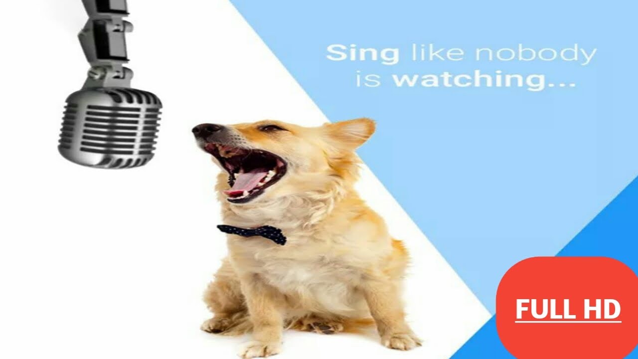 Best Singing Dogs Ever On Got Talent - YouTube