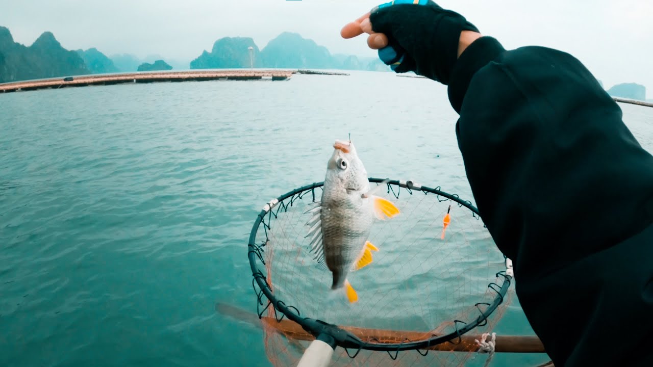 Cách buộc thẻo câu ISO phao que | ISO Fishing Tutorial EP1 - YouTube