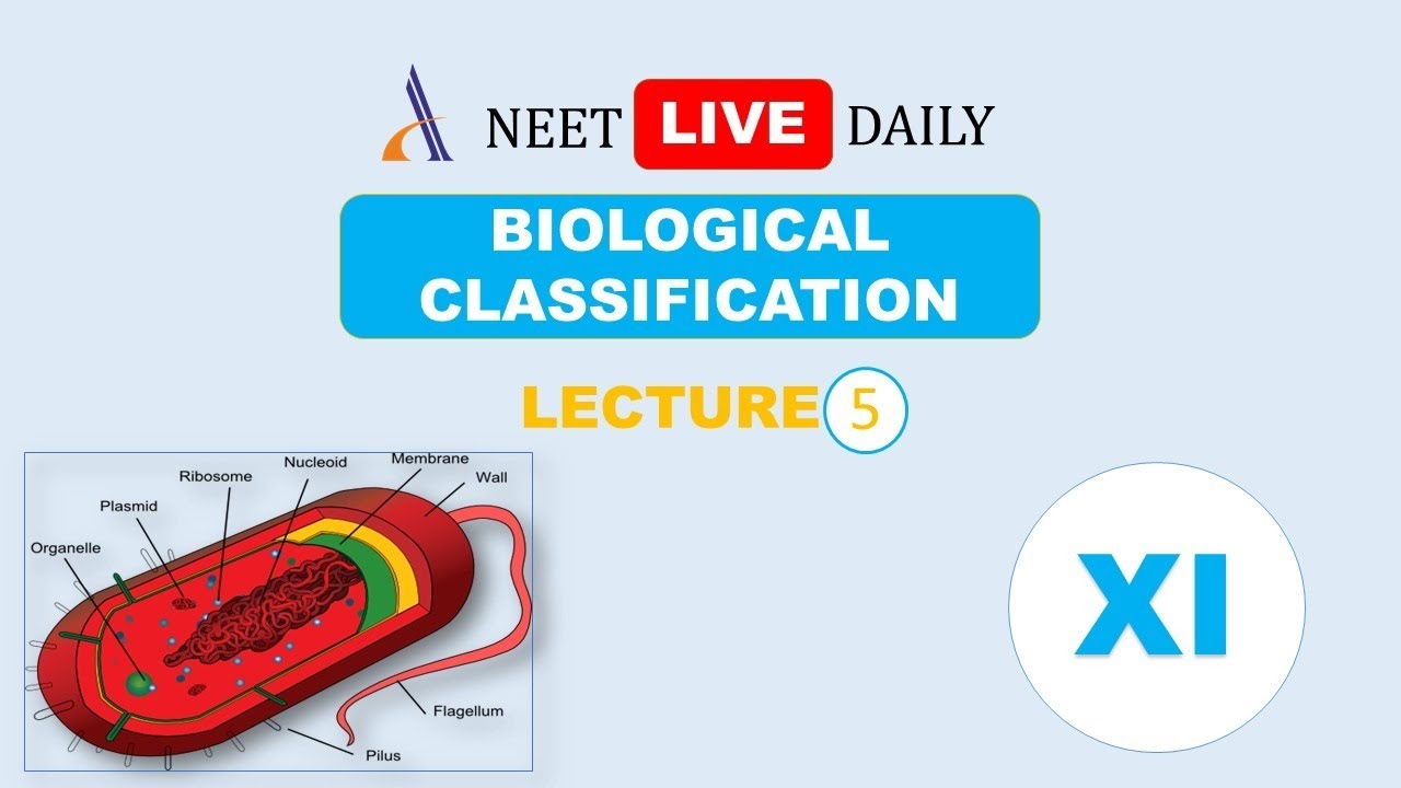 CLASS 11 BIOLOGY CHAPTER 2 | BIOLOGICAL CLASSIFICATION - LECTURE 5 ...