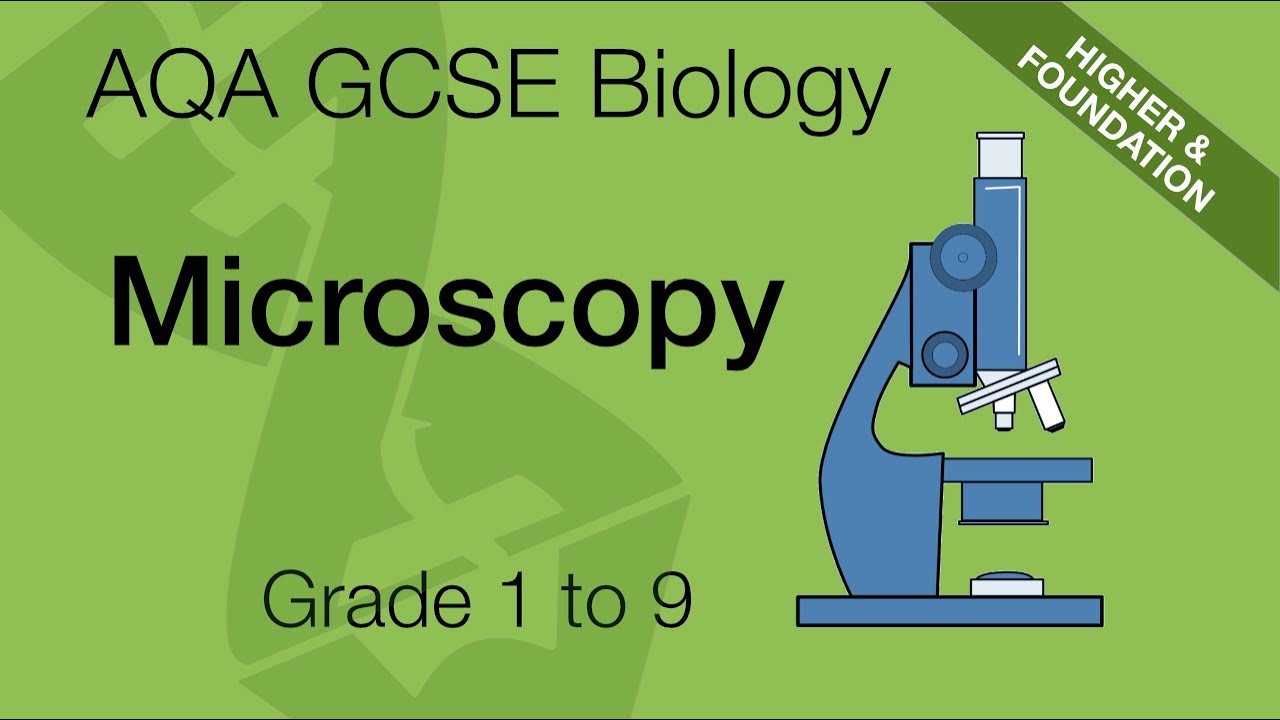 AQA GCSE Biology: Microscopy | Light and Electron Microscopes Explained ...