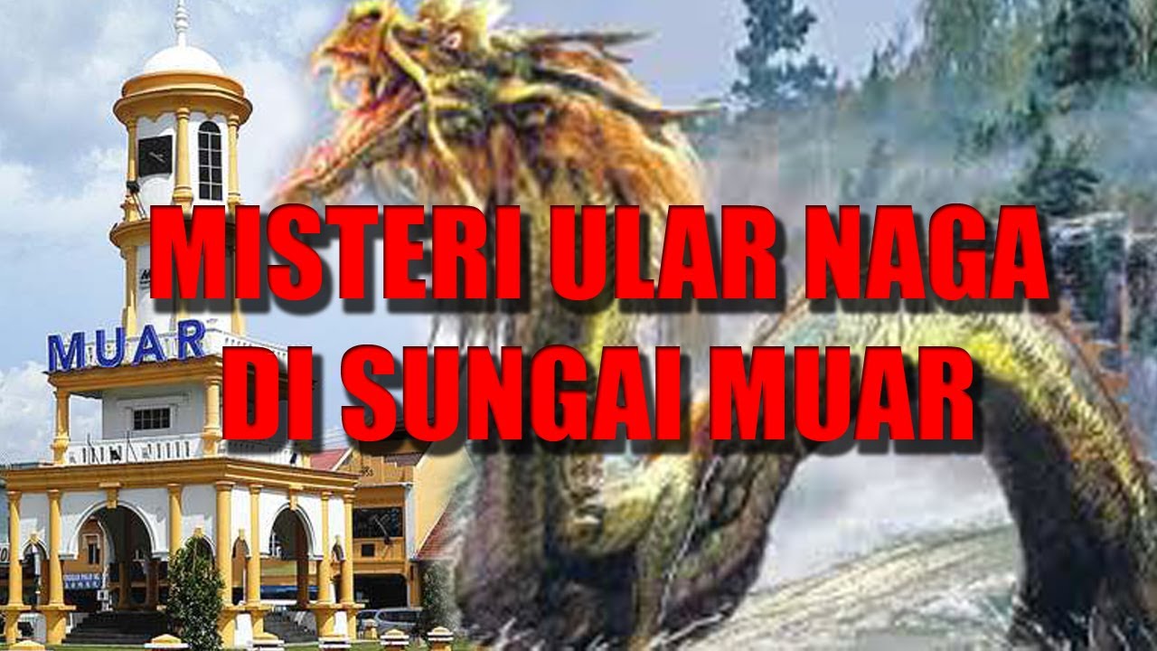 Misteri Ular Naga di Sungai Muar - YouTube