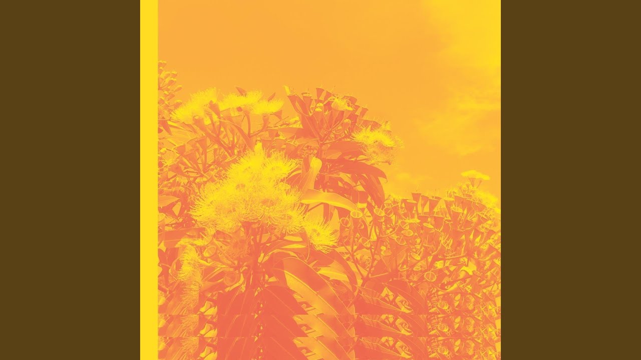 We Can Sing - YouTube