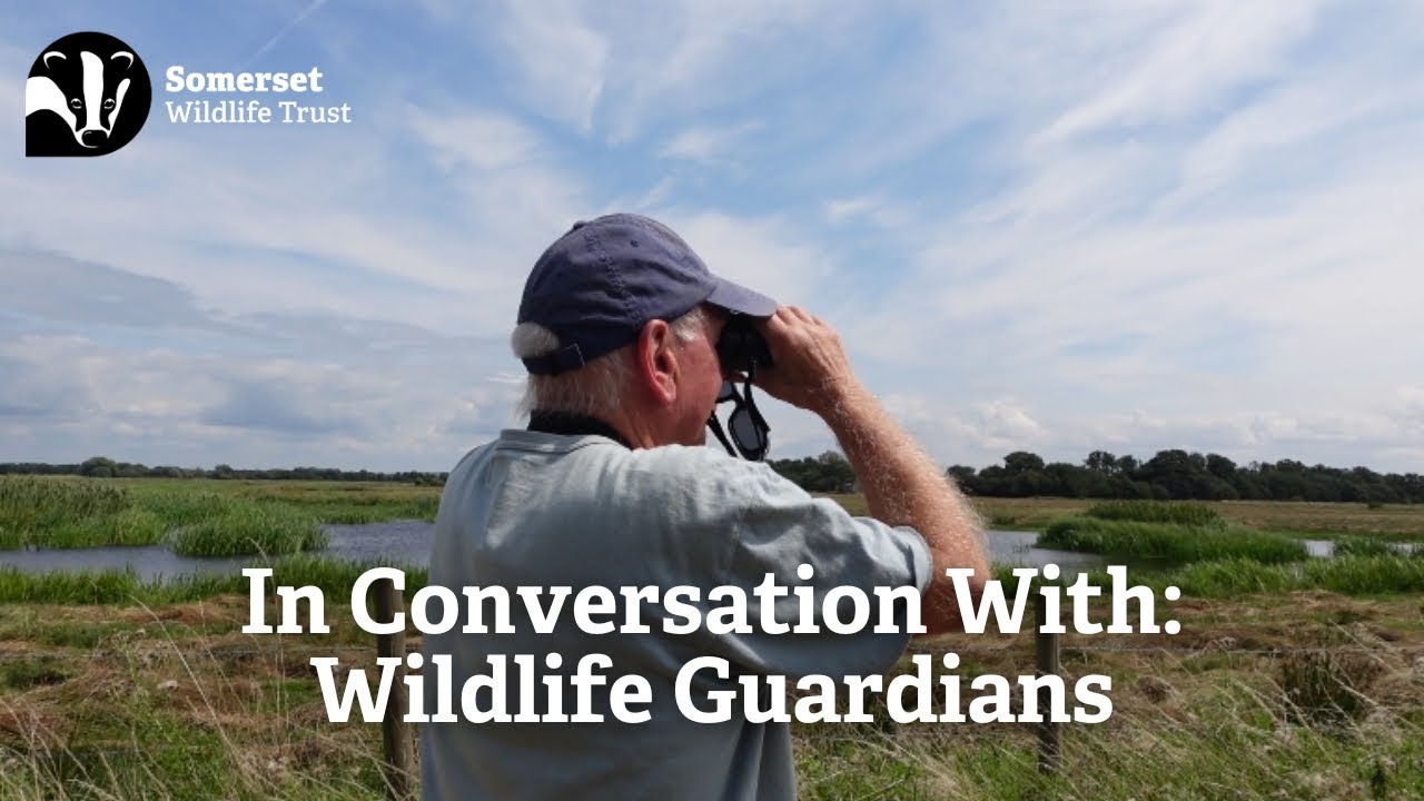In Conversation With Wildlife Guardians - YouTube