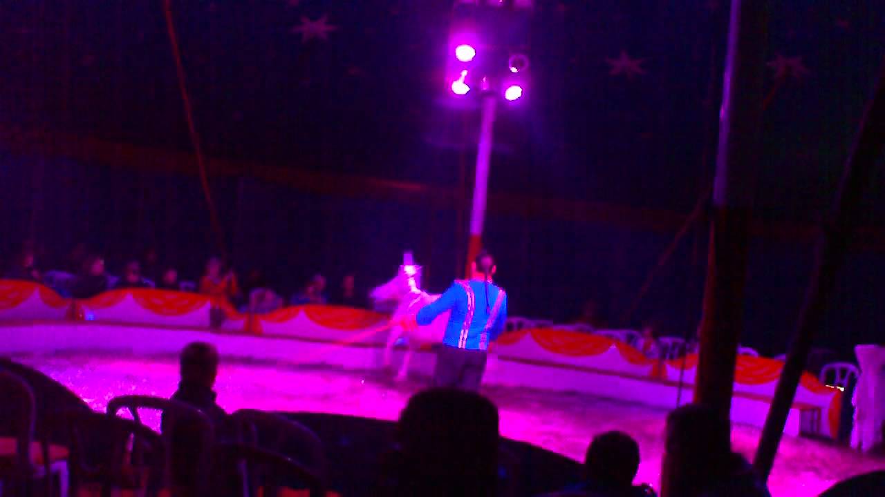 Zirkus Aladin 4 - YouTube