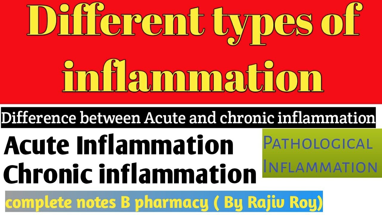 Types of inflammation(Acute and chronic inflammation) Difference ...