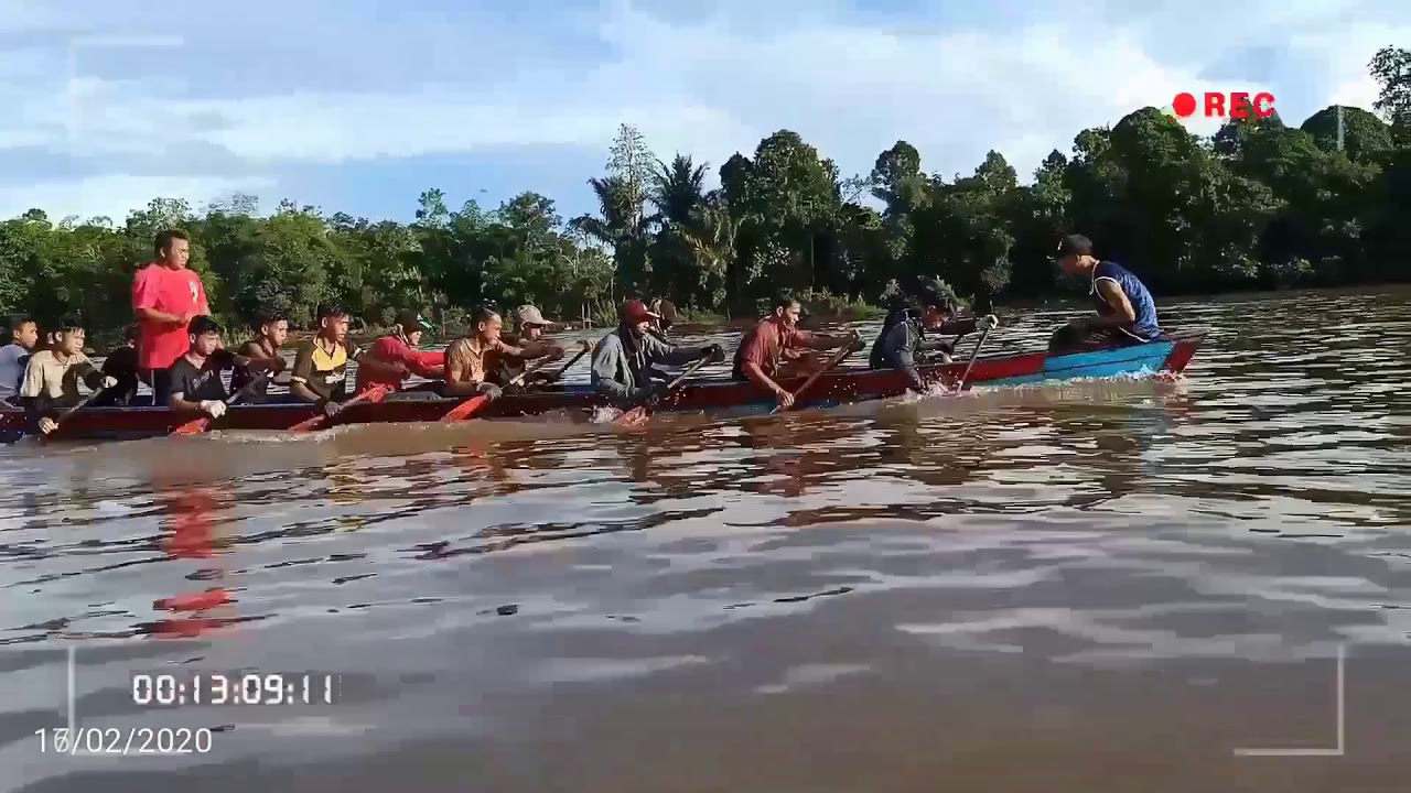 Latihan pertama pendayung sampan samudra empangau hilir - YouTube