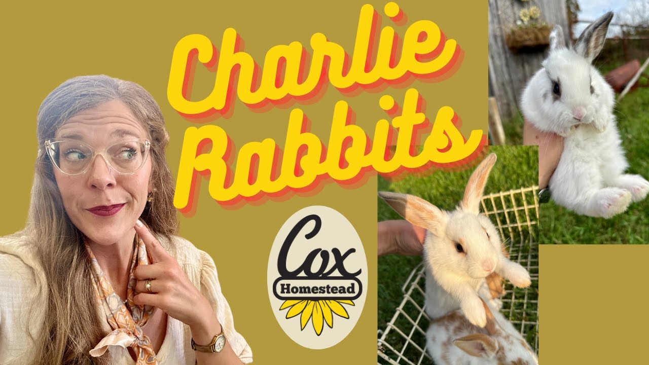 What is a Charlie Rabbit? |. Cox Homestead - YouTube