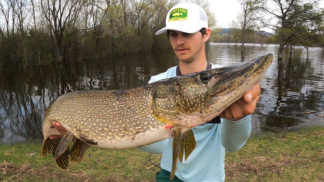 Fishing GIANT LURES for TROPHY PIKE! - YouTube