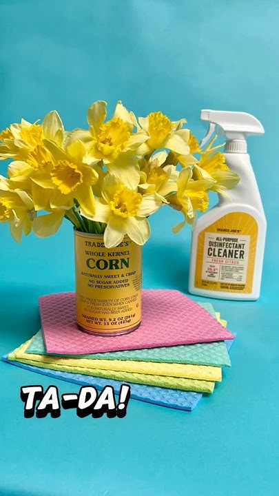 1, 2, 3... Tidy Up! | Spring Cleaning | #TraderJoes #ASMR - YouTube