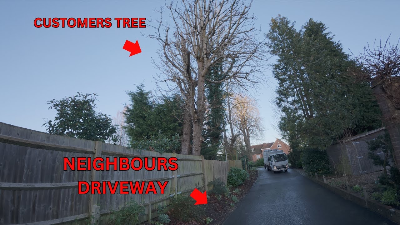 The neighbour doesnt want us to do this tree? - YouTube