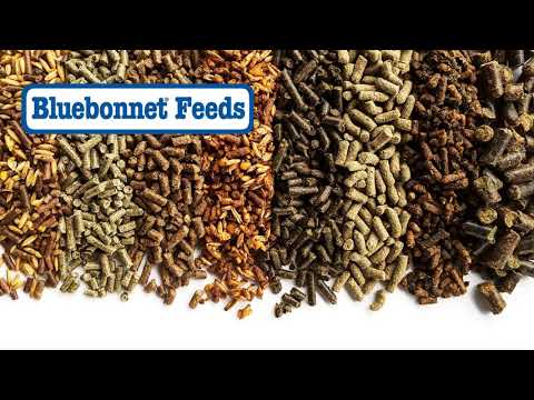 Equine Feed Manufacturing by Bluebonnet Feeds - YouTube