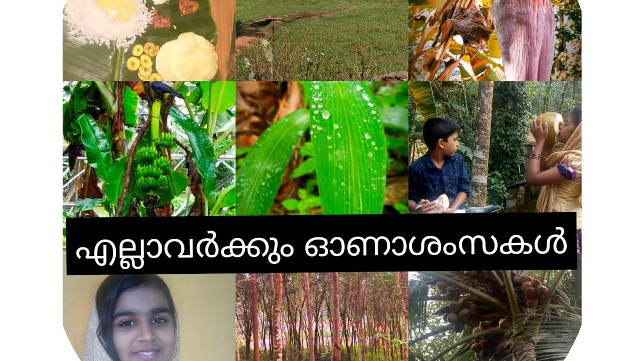 Onam special/onam pattukal - YouTube