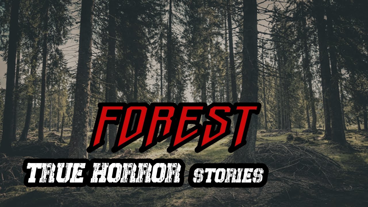 3 Unnerving Forest Hiking & Camping Horror Stories - YouTube