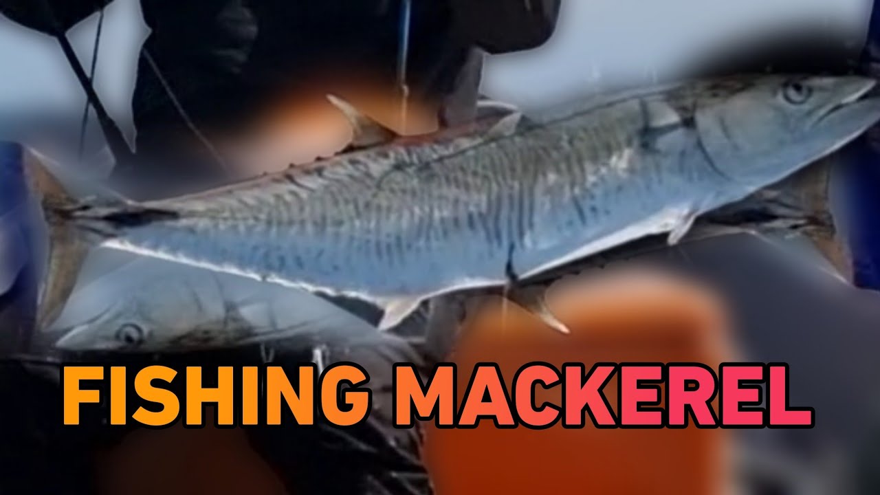 HUNTING SPANISH MACKEREL | OCEAN FISHING - YouTube