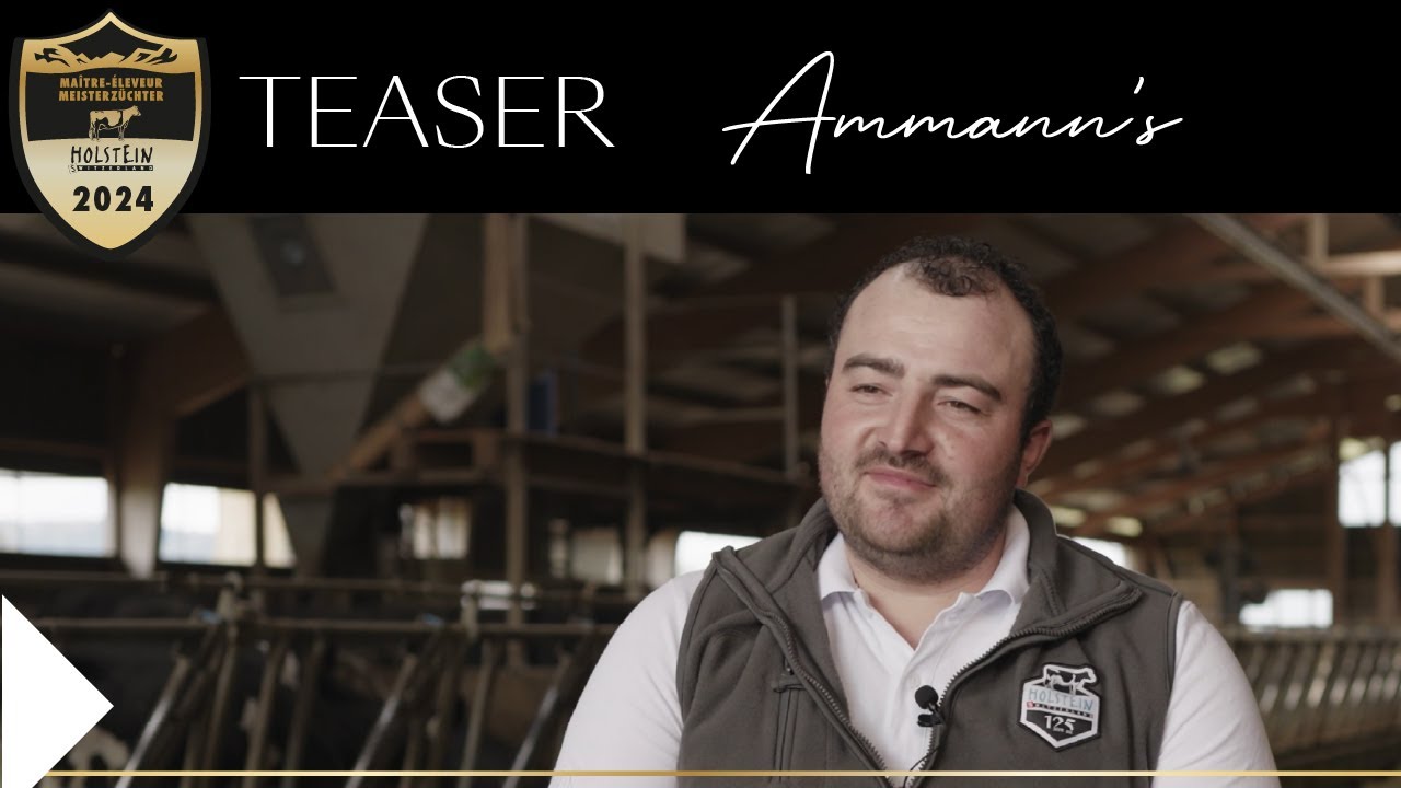 Meisterzüchter 2024 || Karl Ammann - AMMANN'S || Maître-éleveur 2024 ...
