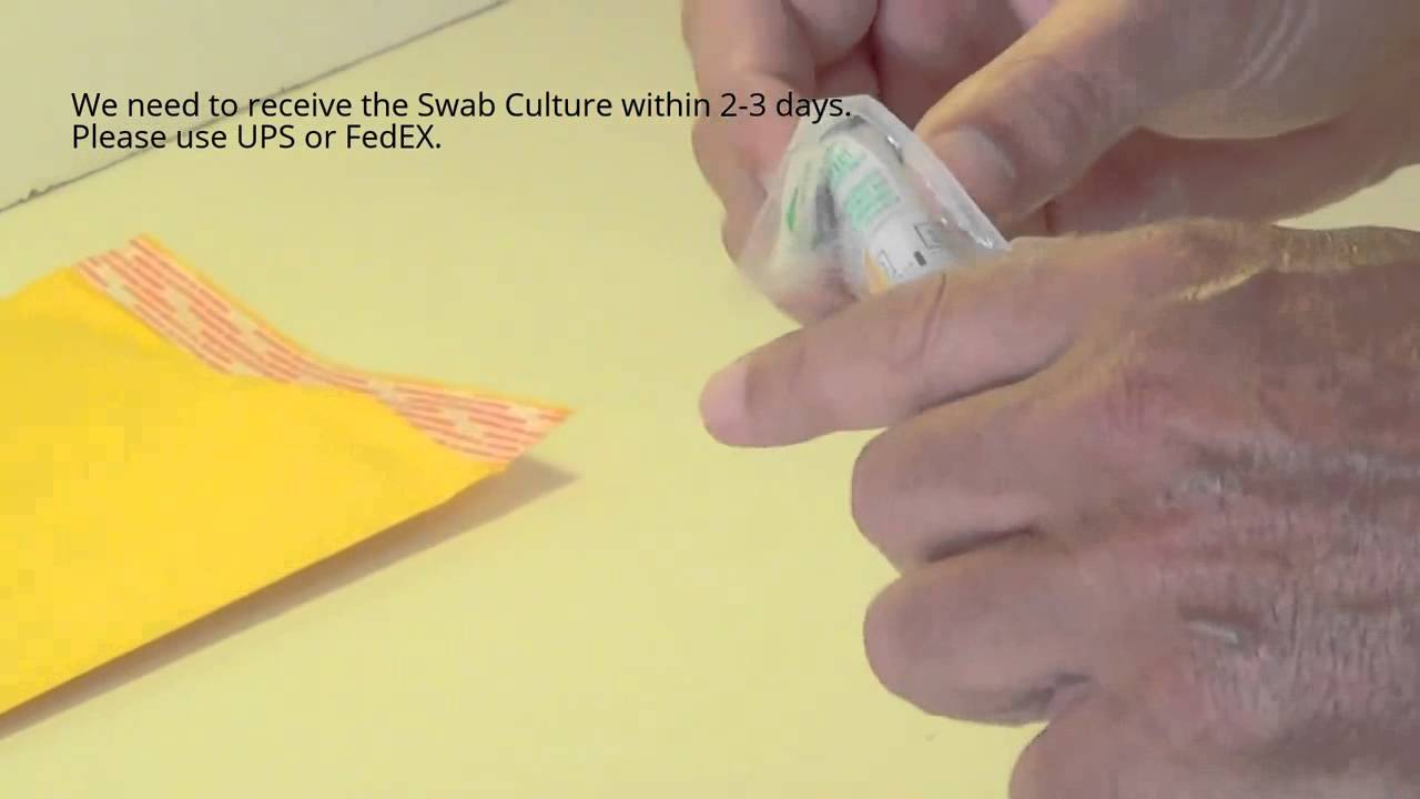 Swab Culture collection video - YouTube