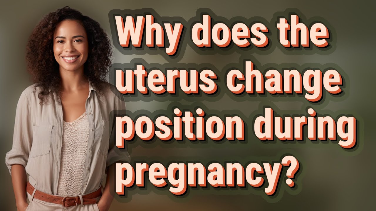 Why does the uterus change position during pregnancy? - YouTube