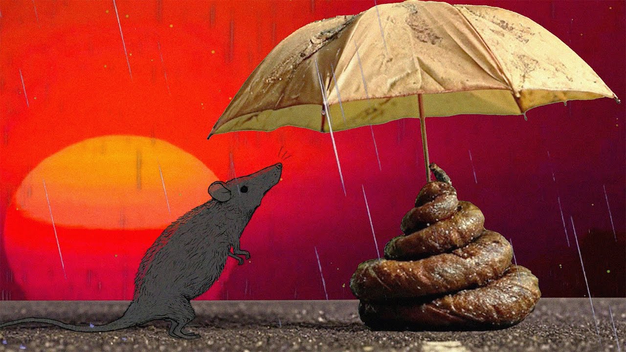 Sad POOP in the Rain - (Official Music Video) - YouTube