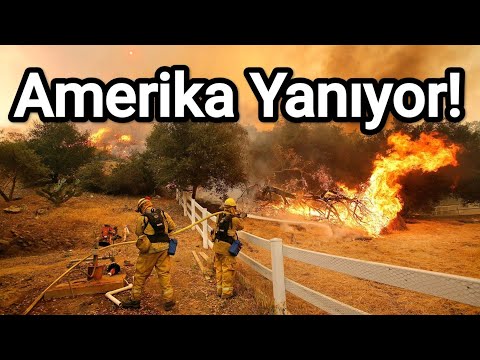 Amerika'daki Yangın: Los Angeles'ta Devam Eden Felaket