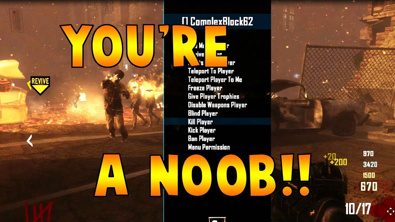 BO2 TROLLING | NOOBS!! | MODS - YouTube