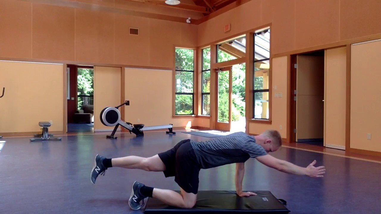 Quadruped 4 Point Position For Core and Gluteals - YouTube