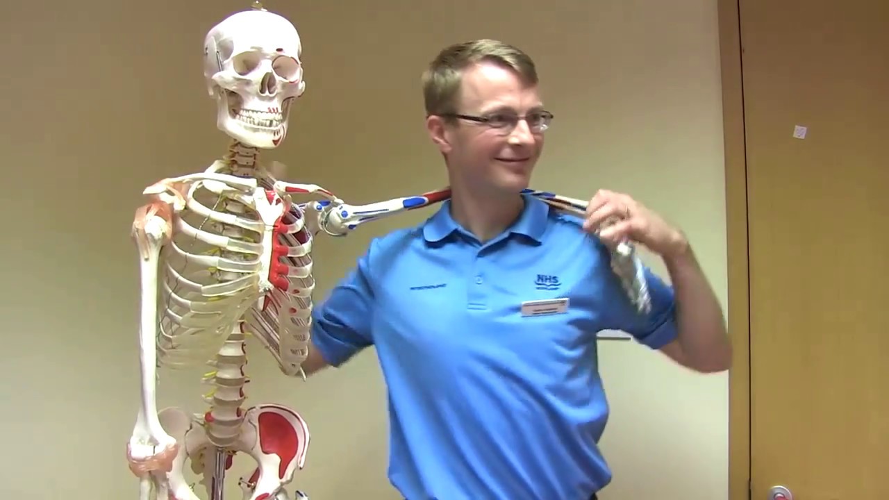 AHP Day Physiotherapy - YouTube