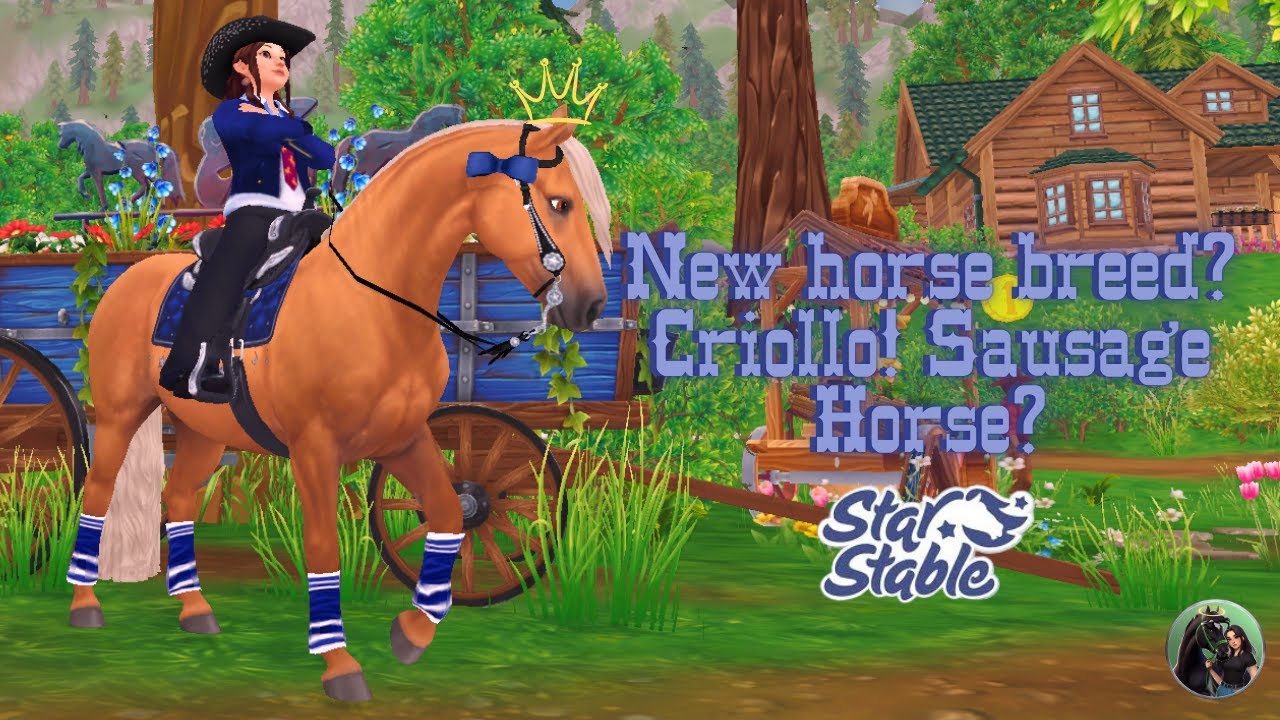The Criollo Sausage Horses? | Star Stable Online - YouTube