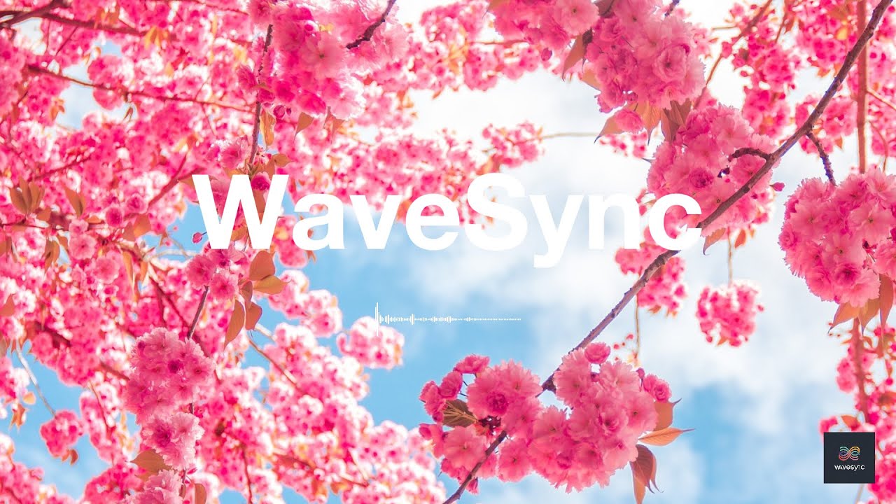 [Playlist] 신글신글 🌱 봄 기운을 담은 팝송 플레이리스트 🌸🎵 | wavesync | EP.04 - YouTube