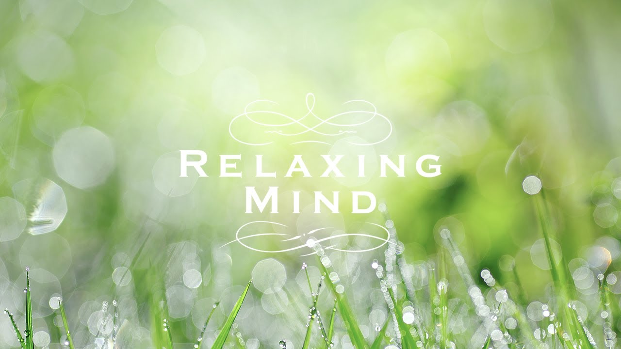 Laid-back Instrumental Music - Background for a Peaceful and Serene ...