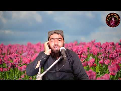 Very Beautiful Telawat e Quran Nice Recitation By Qari Abdullah Riaz ...