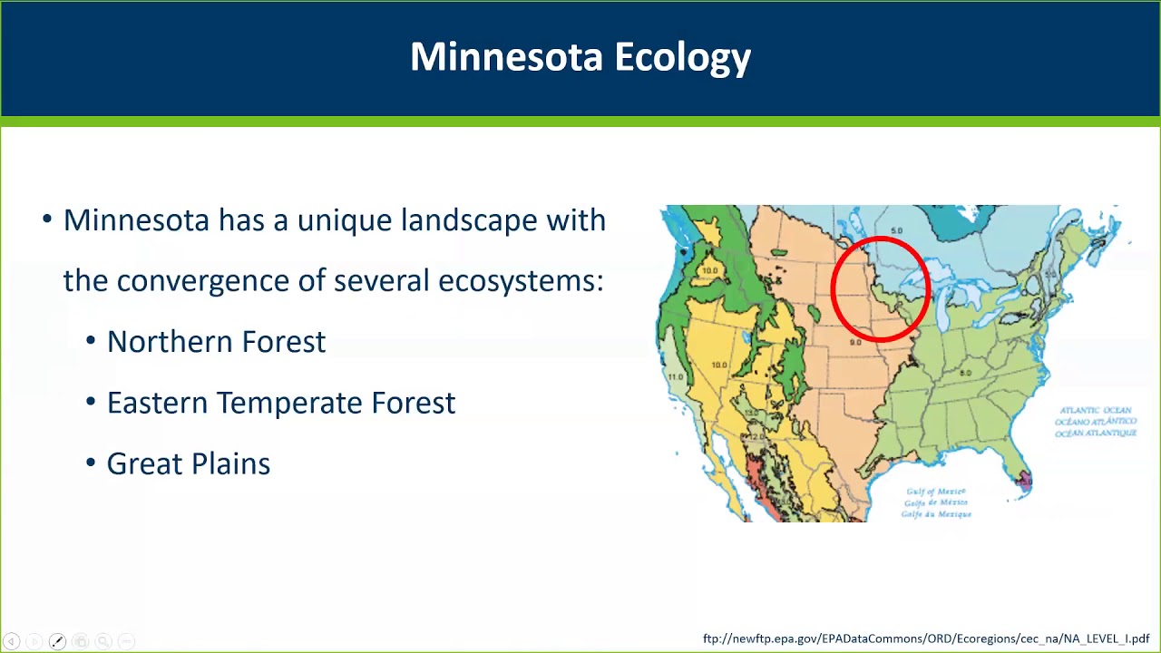 The Longhorned Tick and Other Ticks of Concern in Minnesota What ...