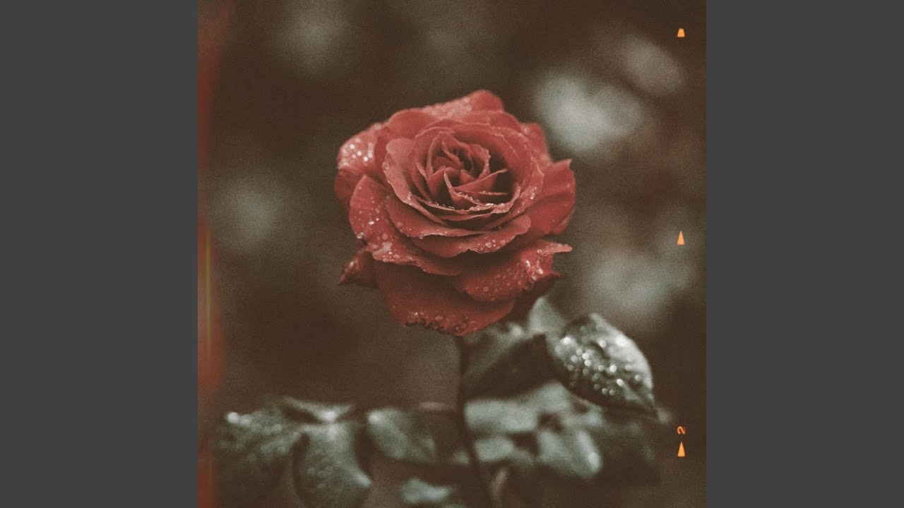 On Repeat - YouTube Music