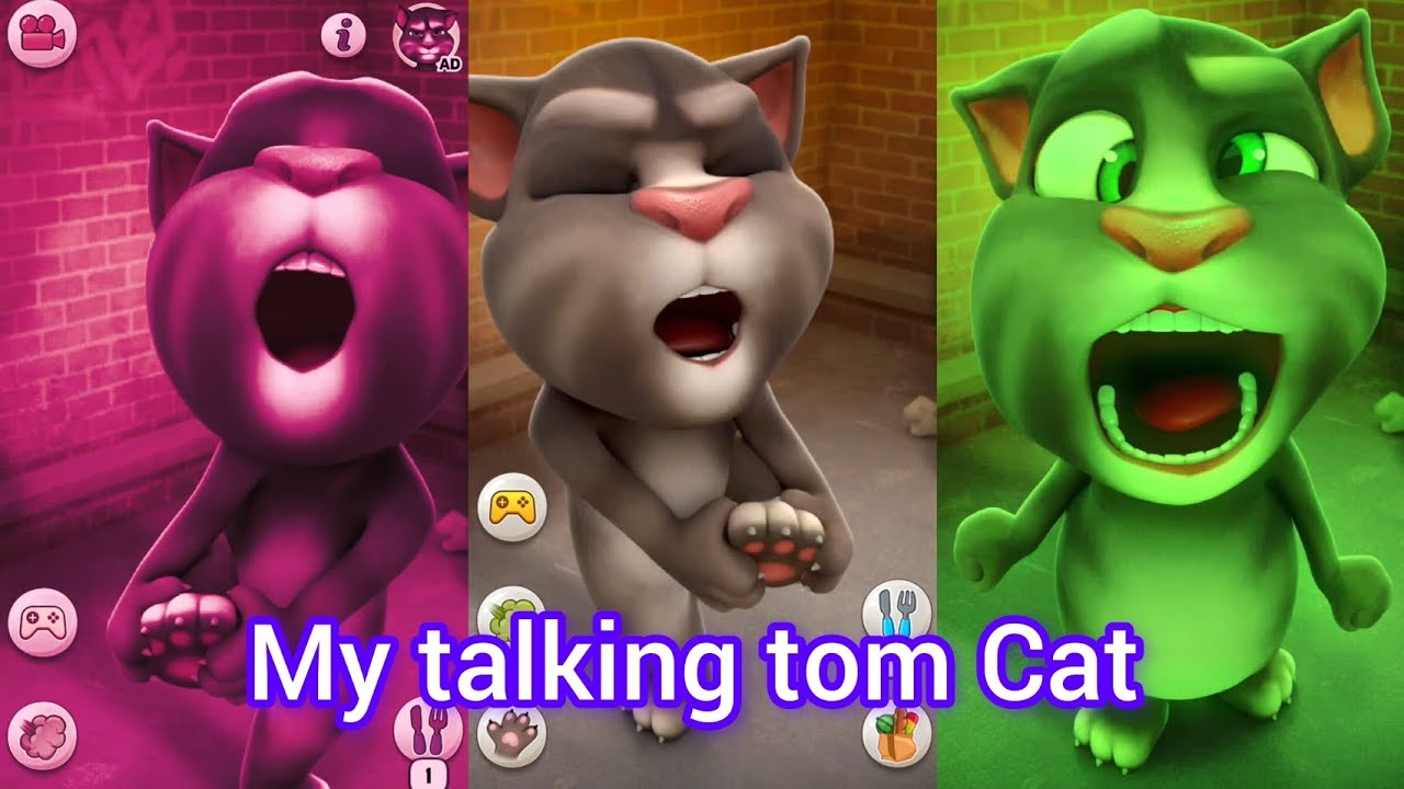My talking tom Cat - YouTube