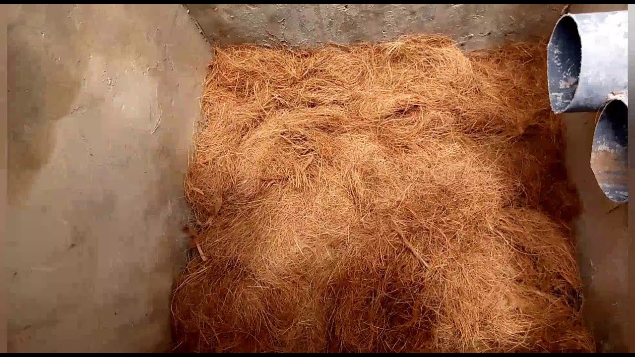 How to Make Biofil Digesters with Draining you will love it - YouTube