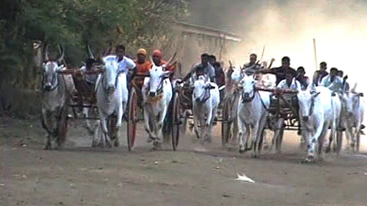 बैलगाडी शर्यत जुनी विडिओ 2013 साताड बंदर नागाव ...