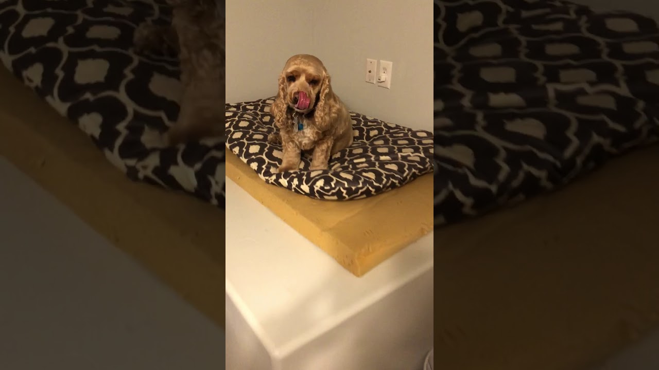 Dodgy Loft, Mallory Jane Patton - YouTube