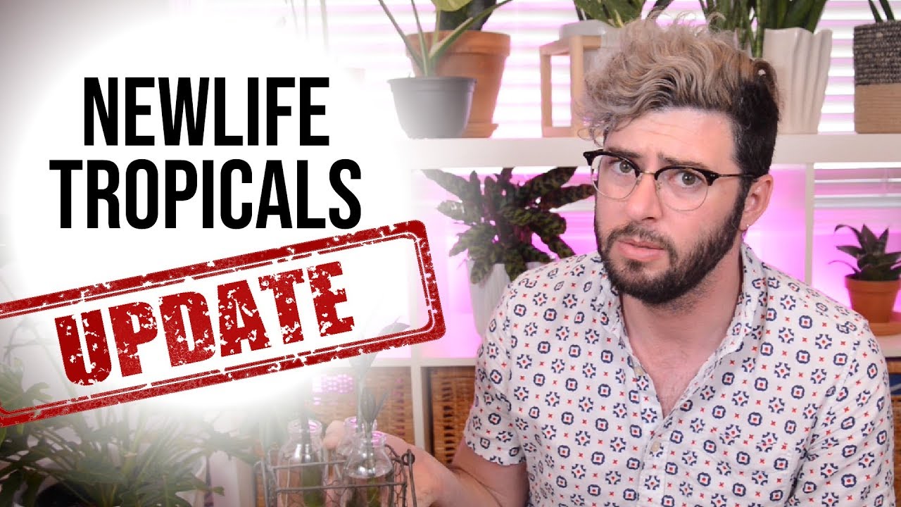 UPDATE: Rare Plants from NewLife Tropicals - YouTube