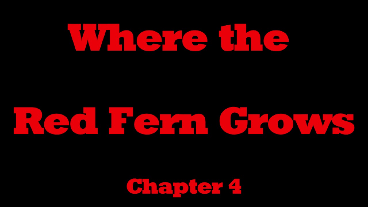 Where the Red Fern Grows - Chapter 4 - YouTube