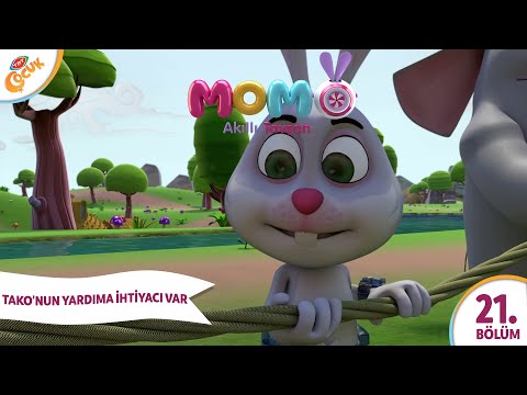 AKILLI TAVŞAN MOMO - Bölüm 21 - TAKO'nun Yardıma İhtiyacı var
