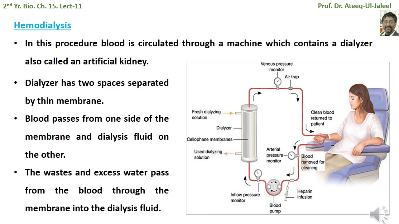 Biology II Ch 15 Lecture 11 Dr ATEEQ UL JALEEL - YouTube