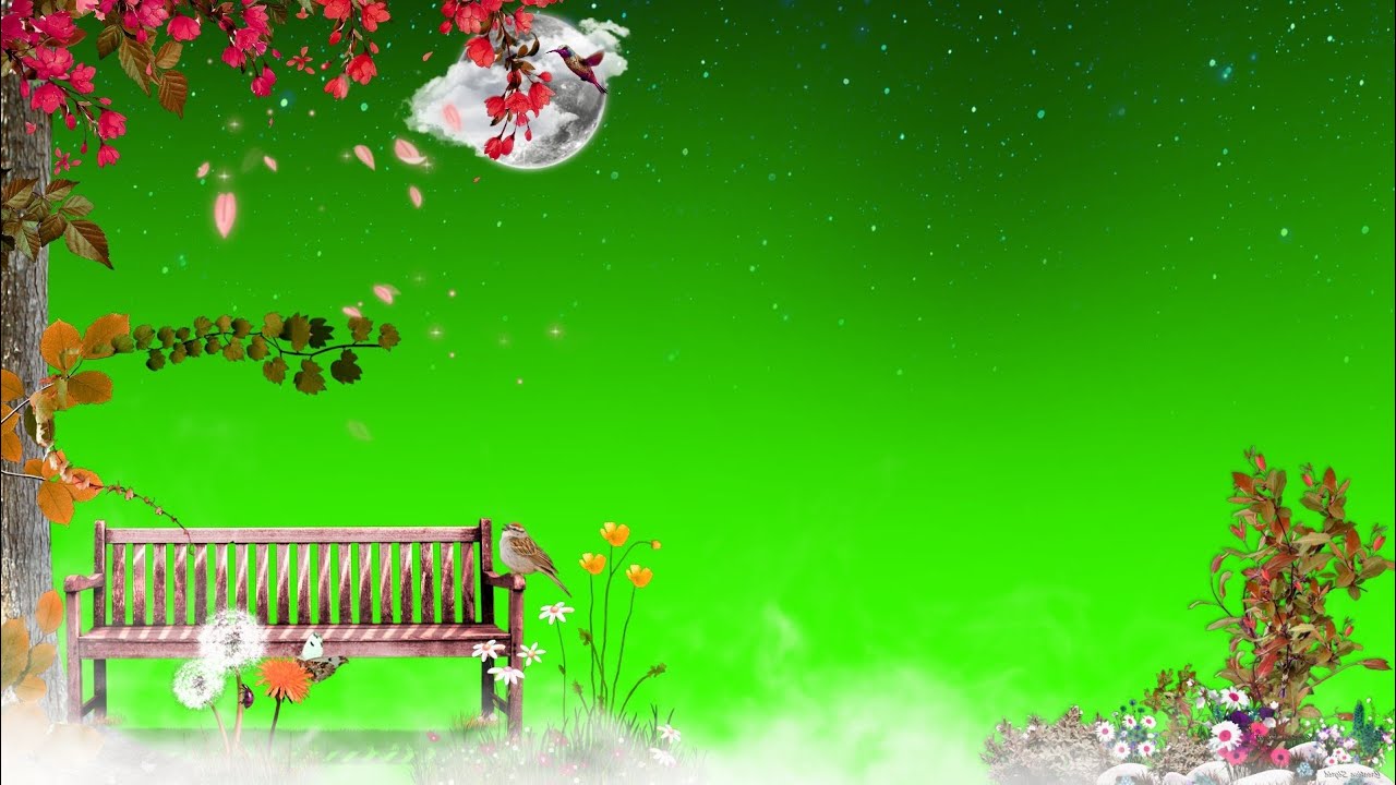 Best Green Screen Effects | Falling Leave Green Screen Video | Garden ...