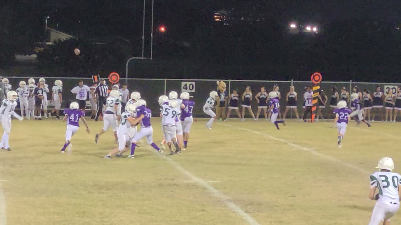 Dylan reception vs McDonald - YouTube