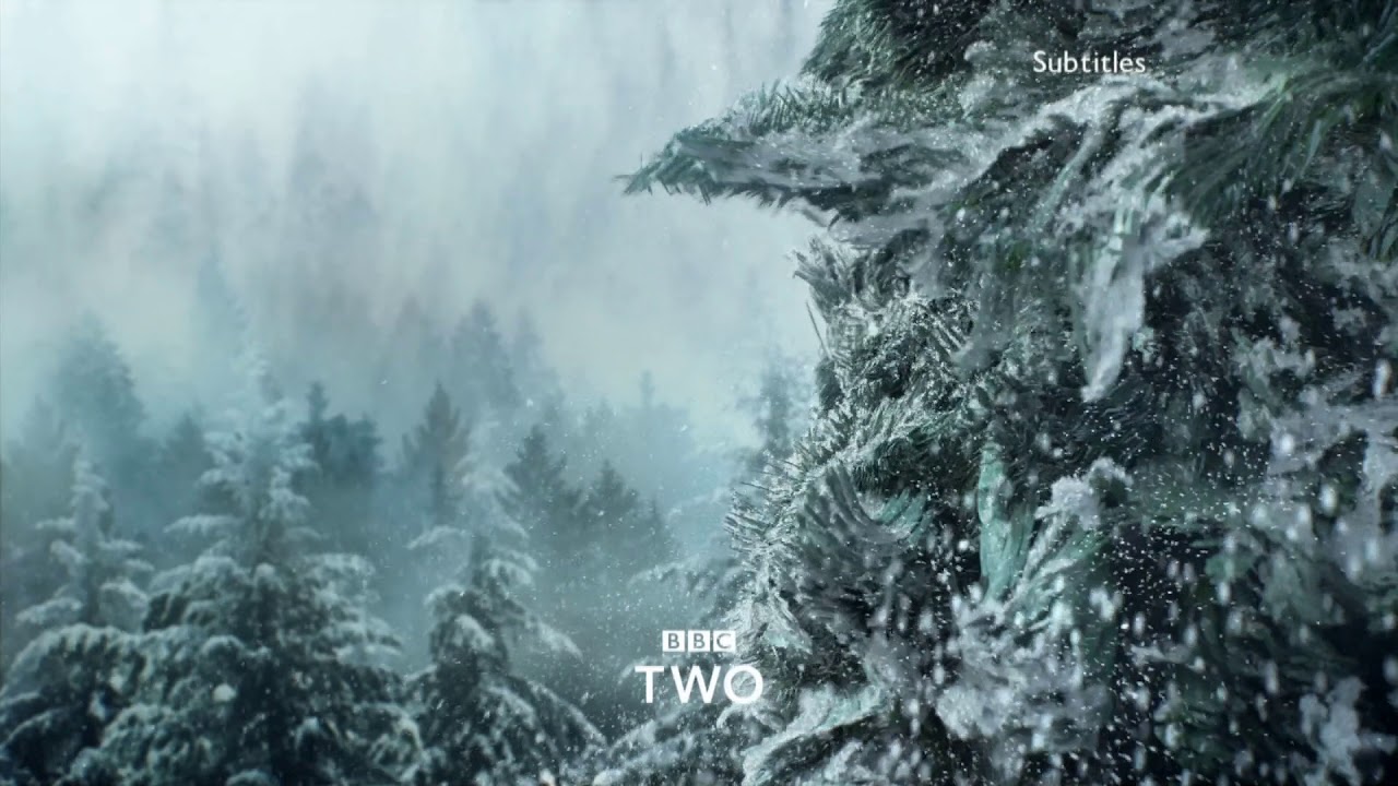 BBC Two Christmas Ident 2018 - First Showing - YouTube